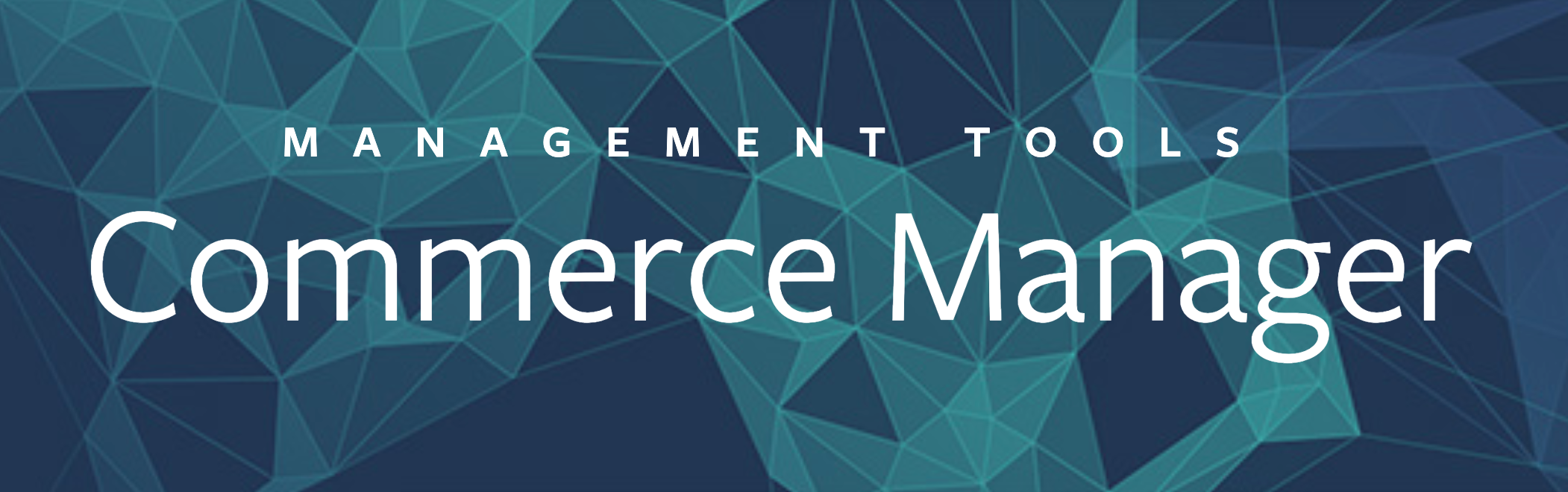 FB Commerce Manager 给商家带来什么 – 一块海绵